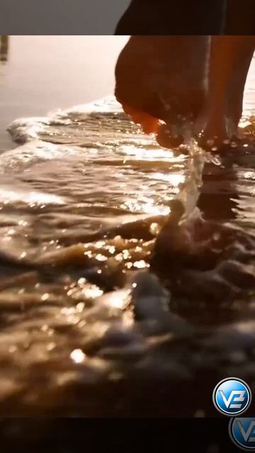 KARAMONTAN-Бродит жираф