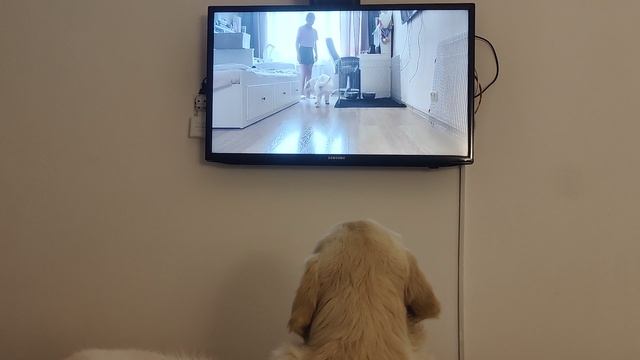 Ахилл про себя VID_20251023_235459