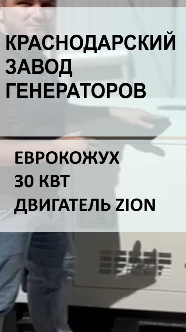 Дизельный генератор "Технозион" в еврокожухе на двигателе ZION мощностью 30 кВт обзор