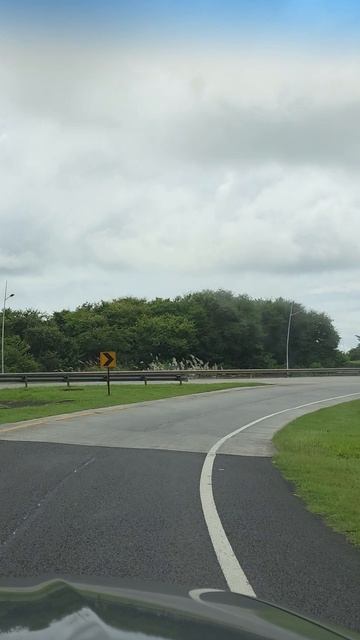 Встретилась с гидом и сразу вопросы о Панаме, болтаем по дороге