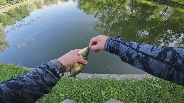 И РЫБ ПОЛОВИЛИ И КОТОВ НАКОРМИЛИ✅ #мормышинг