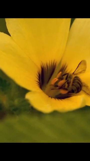 ДУША. Красивая песня и клип!