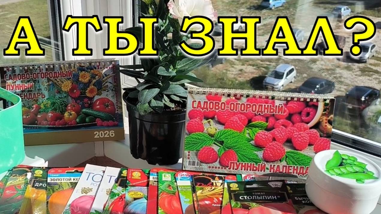 ЛУННЫЙ КАЛЕНДАРЬ 🌛🌍🌜(подсказки огородникам до конца года)