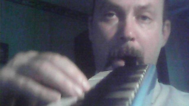 Мелодион - "Во саду ли в огороде"