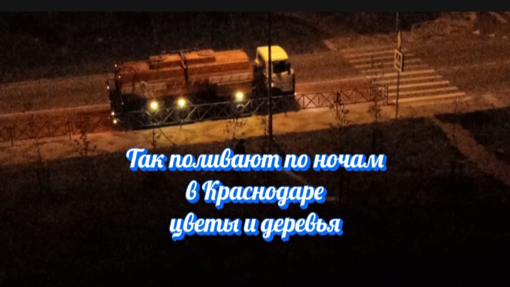 Так ежедневно каждое утро в Краснодаре поливают цветы и деревья