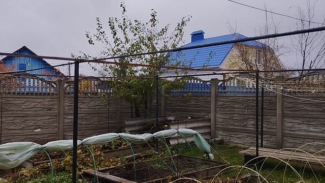 особенности персика