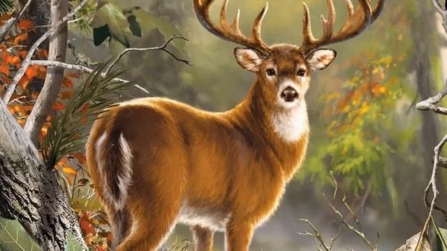 ЛЕСНОЙ ОЛЕНЬ (кавер-версия) - исполнение Жанны Вишняковой Арс