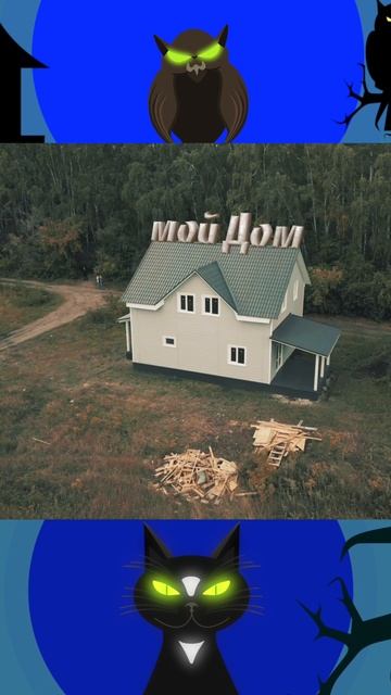 #shorts - It's Halloween in my house