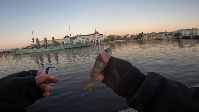 Рыбалка на рассвете✅  #спиннинг