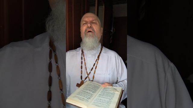 #МирВсем 🔴Утреня 2025.10.27 #АрхиепископСергейЖуравлев #Обновленец #ЯиОтецОдно #ПапочкаБог #Авва ХВ