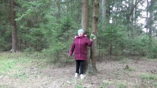 Поет Тамара Скобелева.Лес Телеши.