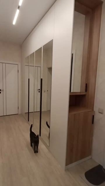 Видеоотзыв клиента 😍