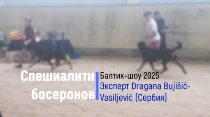 7 Суки, открытый