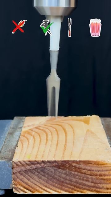Experiment Drilling odd items into wood 🪵😱  oddlysatisfying  sceince  donebyprofessionals