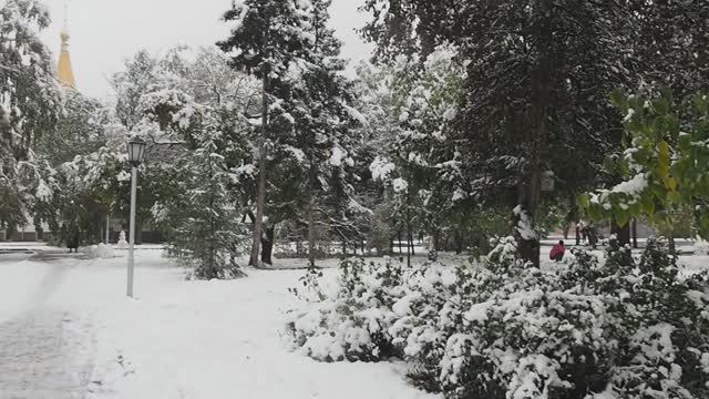 Новосибирск - первый снег 09.10.2016.