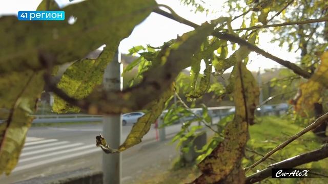 ОСЕНЬ КЛОНИТСЯ К ЗАКАТУ НА КАМЧАТКЕ • БЕЗ КОММЕНТАРИЕВ