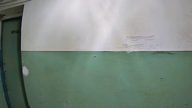 вышла отпинала животное еще и побрызгала химией. Кошка или кот чей то дымчатый ушел под раненый