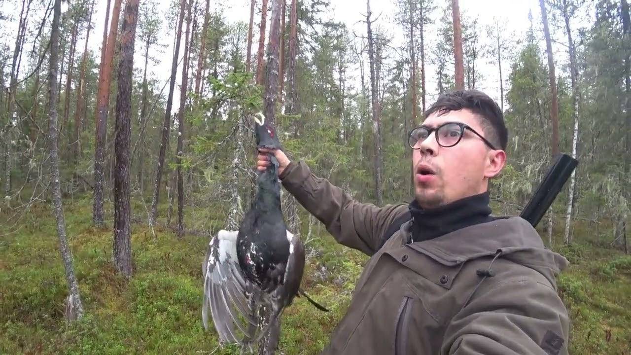 ОХОТА НА ГЛУХАРЯ С ПОДХОДА/ПРИШЛОСЬ ПОПОТЕТЬ/CZ MALLARD ПОКАЗАЛ СЕБЯ С ЛУЧШЕЙ СТОРОНЫ