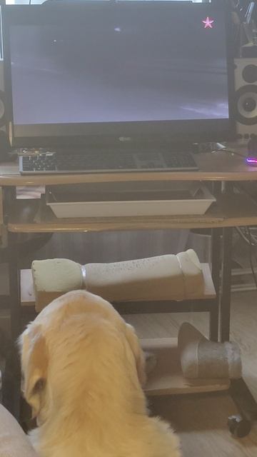 Аха про Мухтара VID_20251023_134135