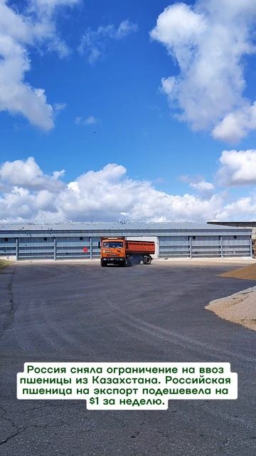 Агроновости 20-26 октября 2025 года