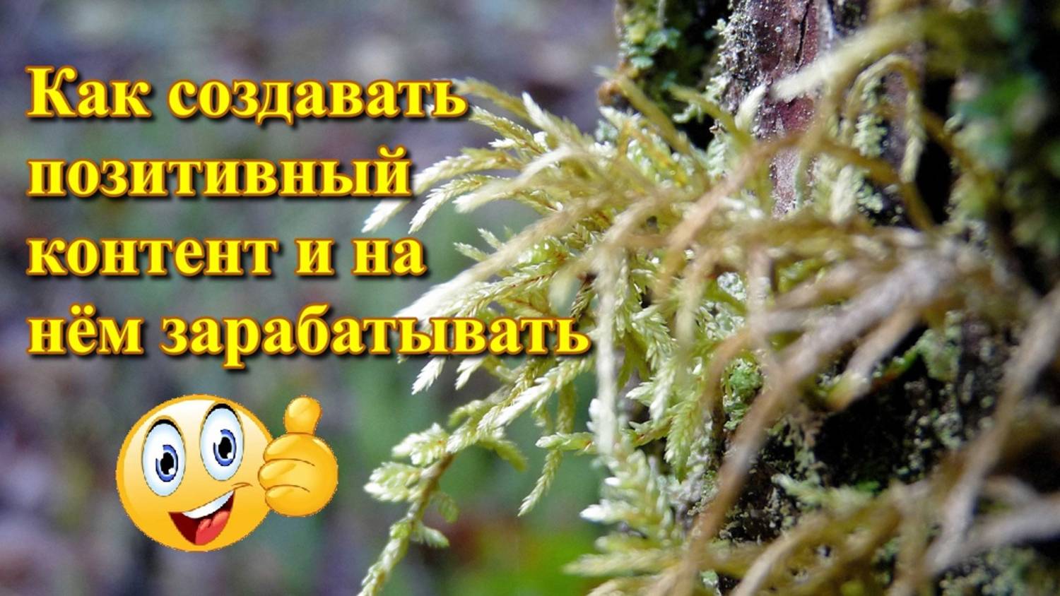 Как создать позитивный контент и на нём заработать.