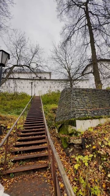 Звенигород — короткий маршрут без спешки 🌿
