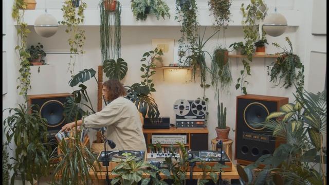 Explorations from All Regions for All Ears with Bongo Joe Records