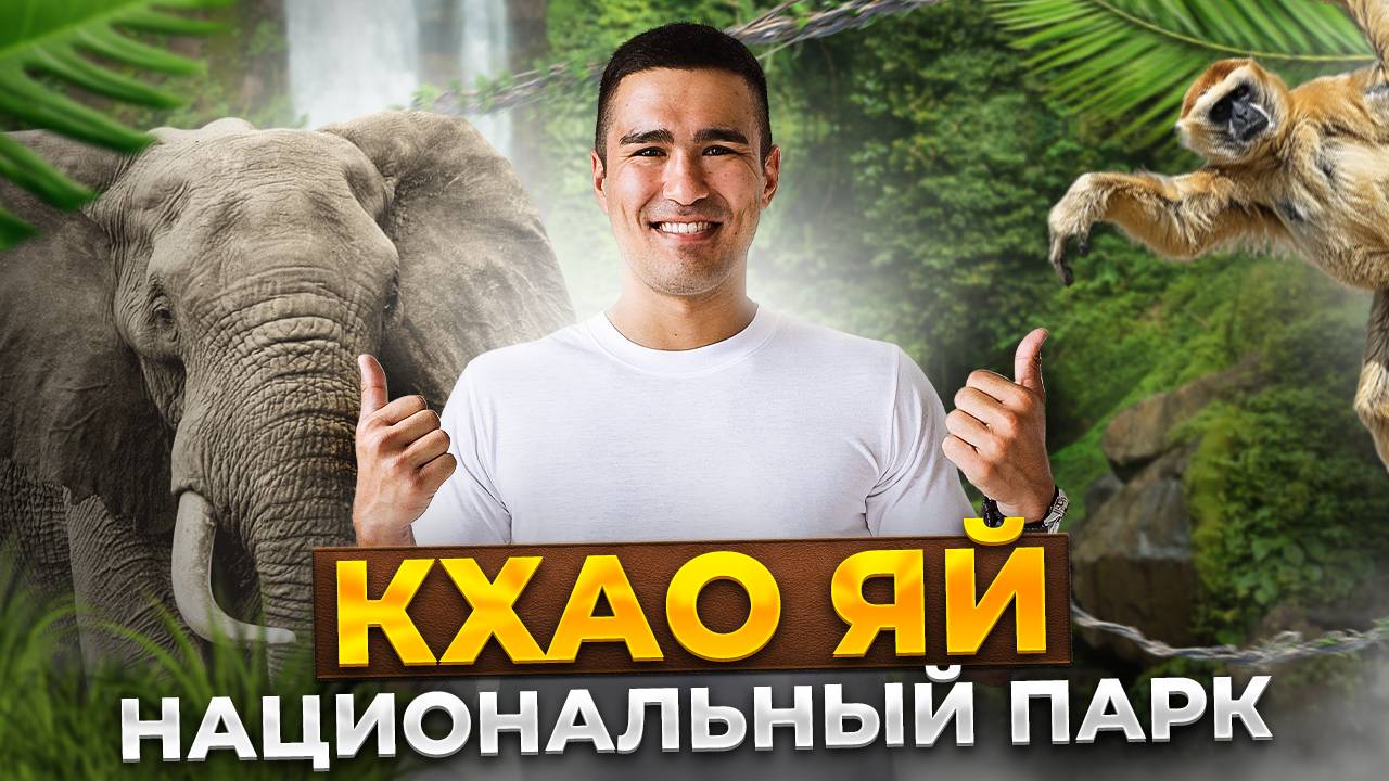 Кхао Яй — сафари, дикие слоны и ночь в джунглях Таиланда