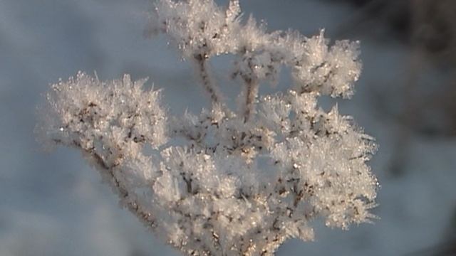 На закате (апрельская оттепель)