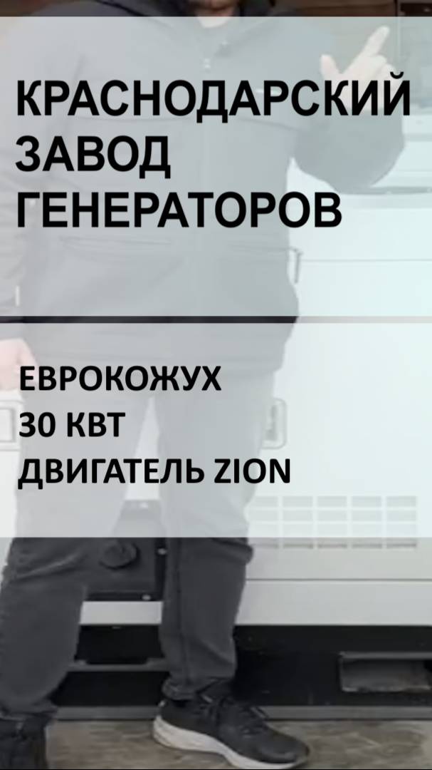 Дизельный генератор "Технозион" 30 кВт на двигателе ZION в еврокожухе обзор