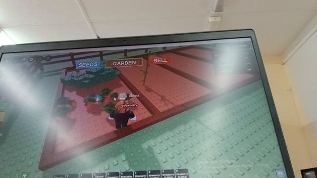 играем в вырости сад