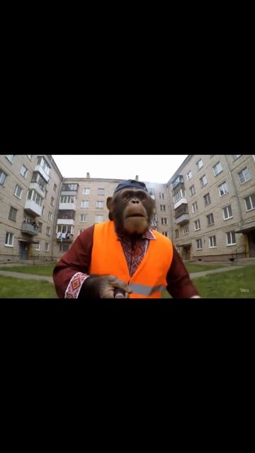 Жора ищет работу