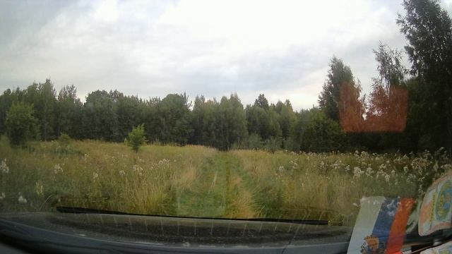 Едем в лес по бездорожью.