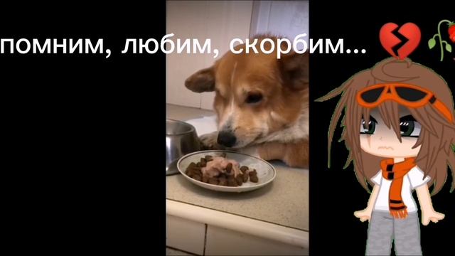 это не плановое видео, но очень важное, посмотрите пожалуйста