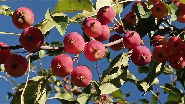большая прогулка краски Осени, прогулки городские зарисовки Осень