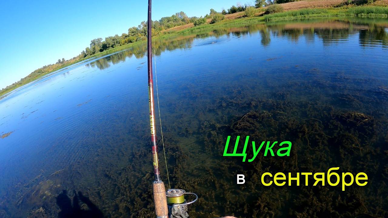 Щука в сентябре на спиннинг