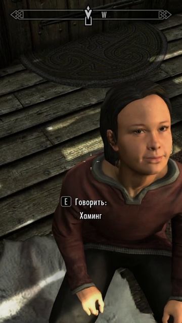 «Что переезжаешь уже, мелкий?» – мальчик едет сидя в Skyrim