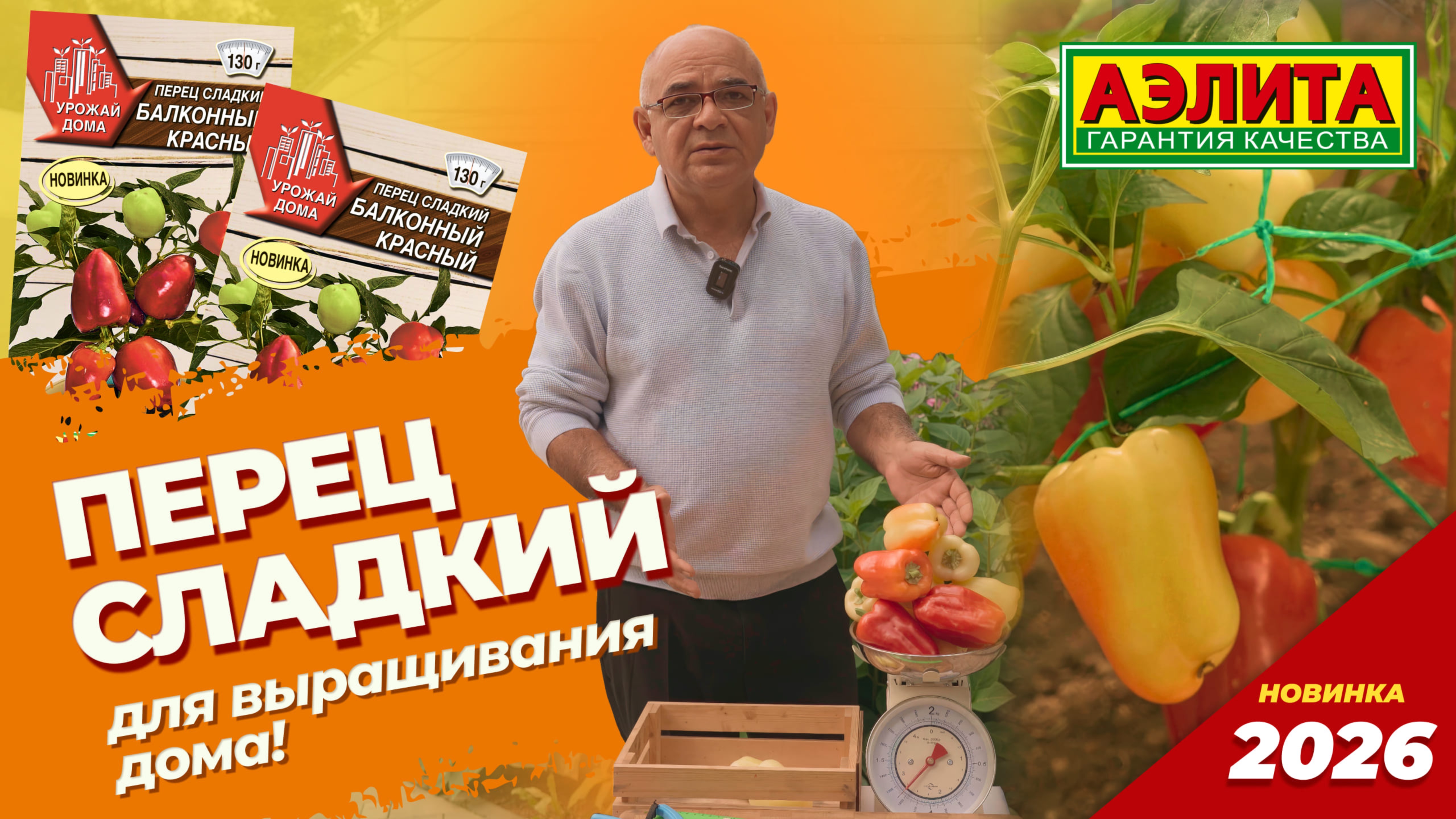 Скороспелый и компактный сладкий перец БАЛКОННЫЙ КРАСНЫЙ из серии УРОЖАЙ ДОМА!