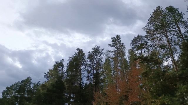 Немного релакса...