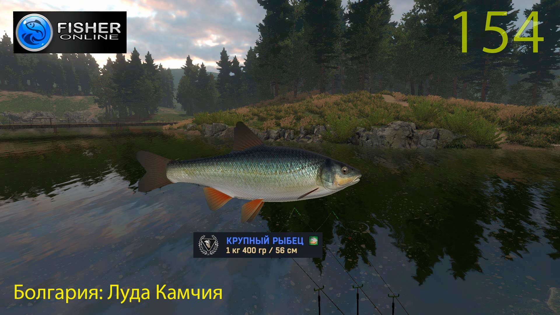 #154 Болгария: Луда Камчия ч.19 Путь к серебру: неуловимый рыбец. Прохождение Fisher Online
