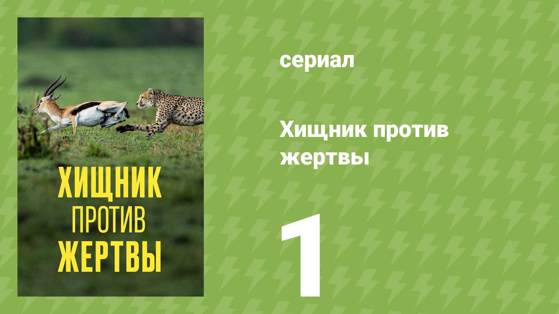 Хищник против жертвы 1 сезон 1 серия «Лев» (документальный сериал, 2024)