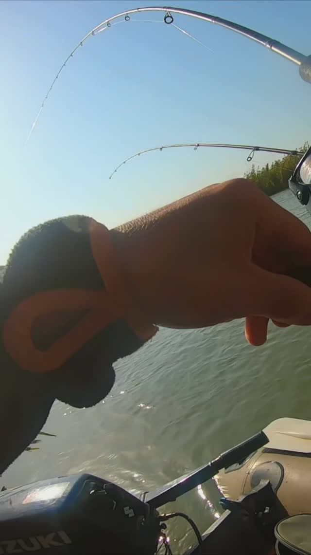 УВИДЕЛ САЗАНОВ В ЭХОЛОТЕ И ПОЙМАЛ НА МАКУХУ/ДЕЛЬА ВОЛГИ- АСТРАХАНЬ/ОСЕНЬ 2025/ ЛОВЛЯ САЗАНА НА ФИДЕР