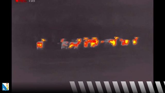 Почему водителям Севастополя стоит быть внимательнее на живописных лесных дорогах