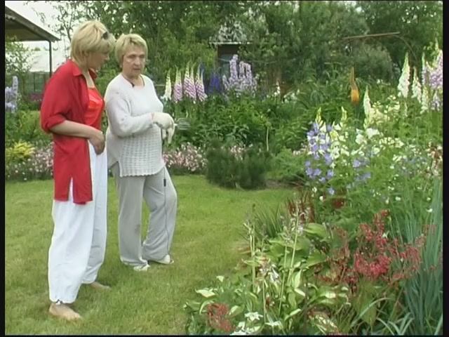 Дачная жизнь, выпуск №22 (Татьяна Сергеевна Пашкова). 2004 г.