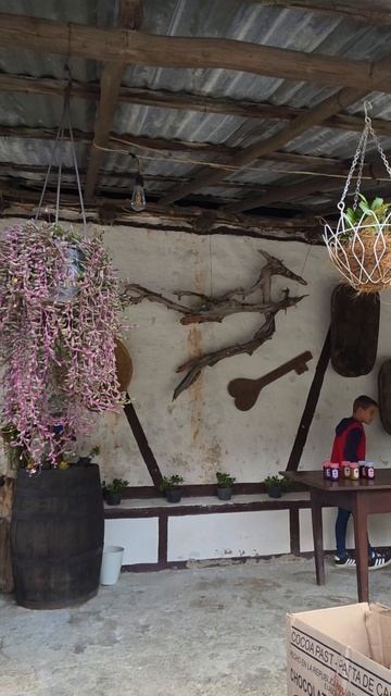 Едем в самый старый дом немецкого городка Колония Товар, Венесуэла