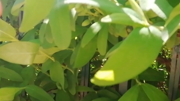 Скорее бы снова весна!