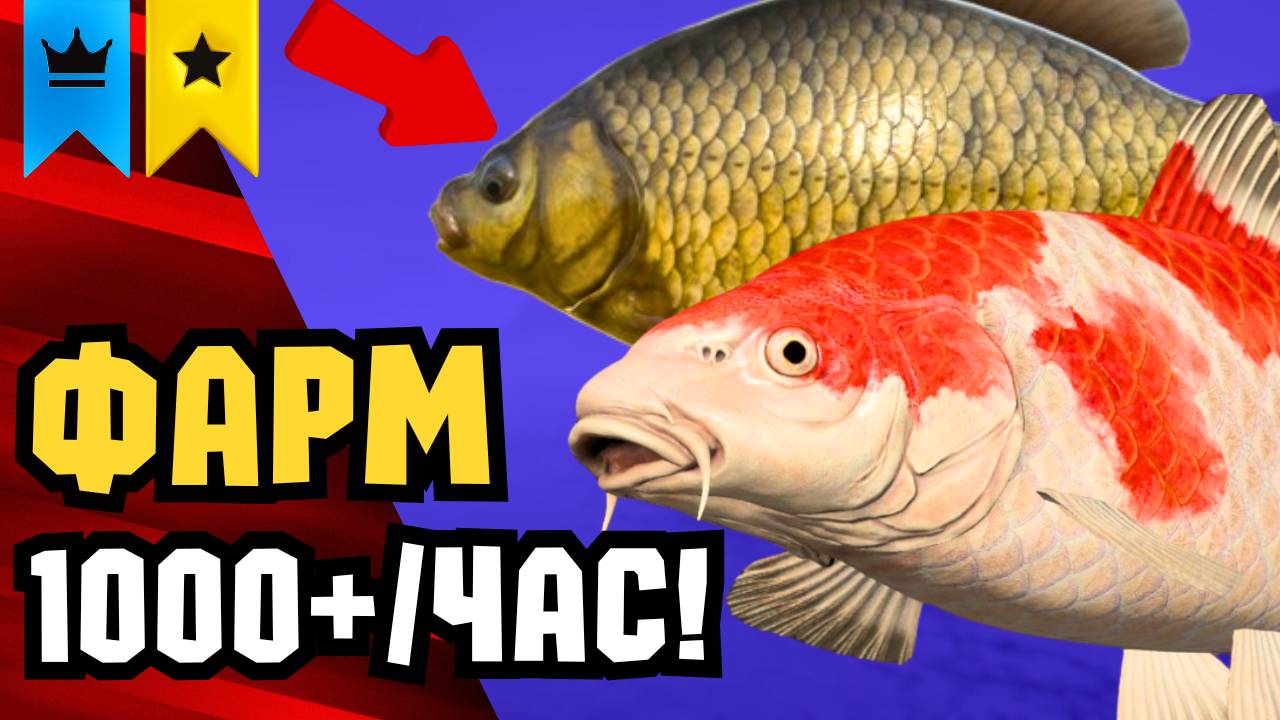 🤯 СУПЕР ФАРМ на КОМАРИНОМ • МЕДНОЕ • ТУНГУСКА [Сводка по водоемам 28.10]