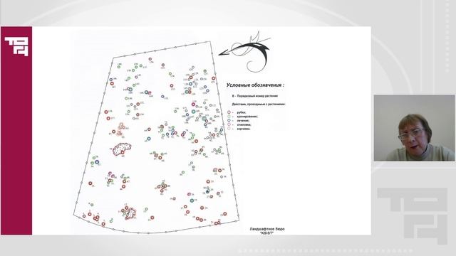 Выбор и анализ фрагмента городской среды | Лектор - Баклыская Лариса Евгеньевна