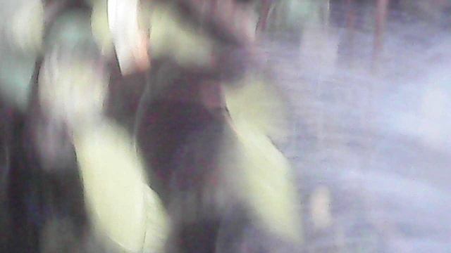 Влагозарядковый полив саженцев ЗКС в октябре 2025