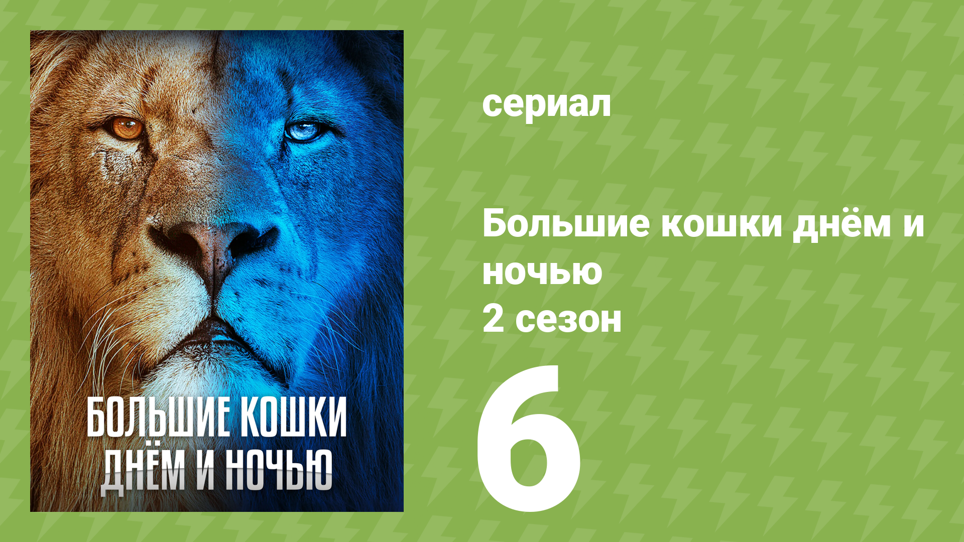 Большие кошки днём и ночью 2 сезон 6 серия «Наследие» (документальный сериал, 2025)